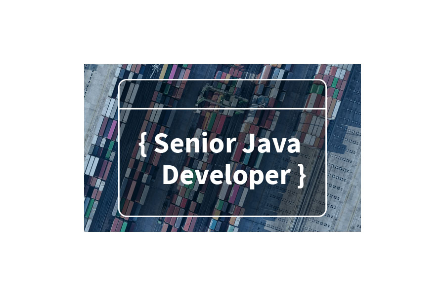 Senior Java Developer (Remote fulltime) – SETA International Vietnam